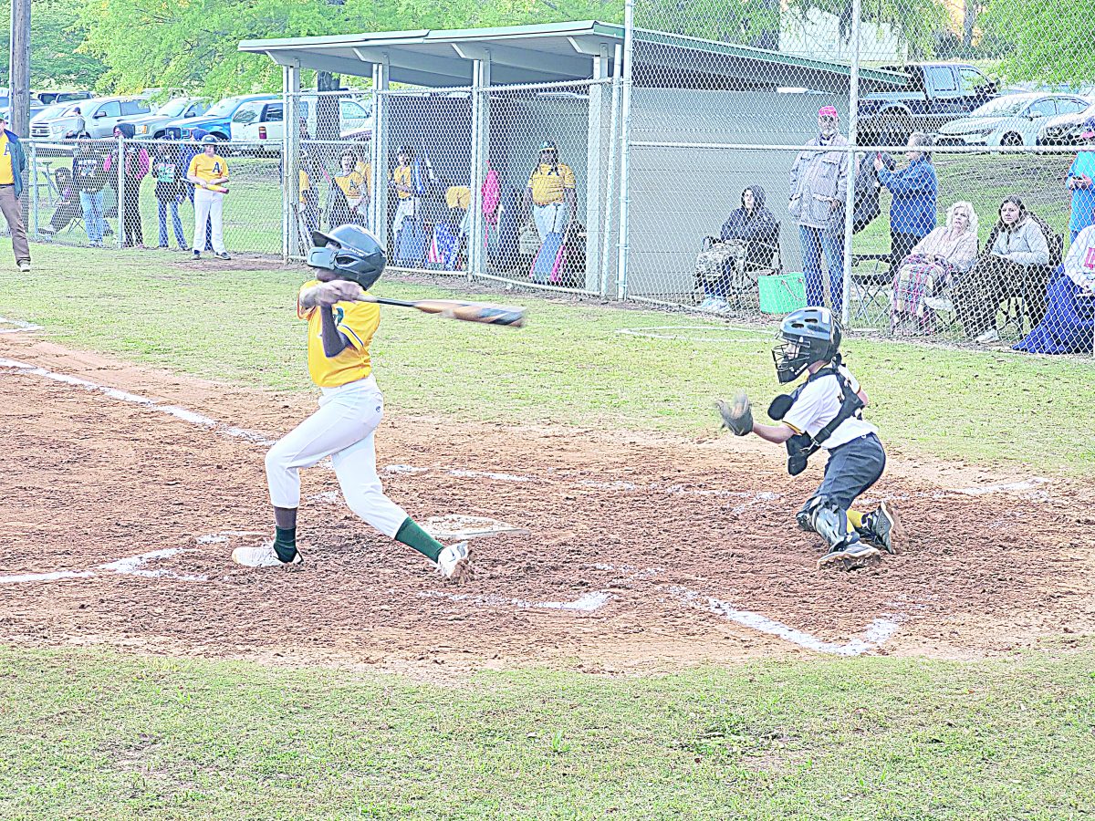 Dixie minor action – The Greenville Standard